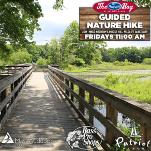 Guided Nature Hike at The Bog | Patriot Place