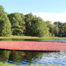 The Nature Trail and Ocean Spray Cranberry Bog | Patriot Place