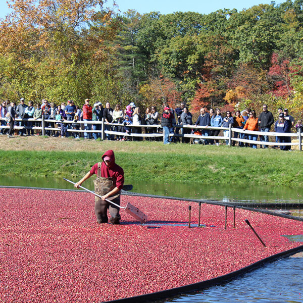 Fall Events at Patriot Place | Patriot Place